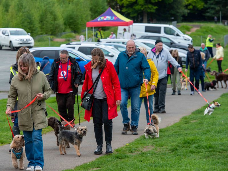 Owners take the lead as mass dog walk takes place in Barshaw Park in ... Owners take the lead as mass dog walk takes place in Barshaw Park in ...