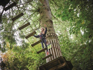 Live life adventurously this Summer at Go Ape! | News | What's On Edinburgh