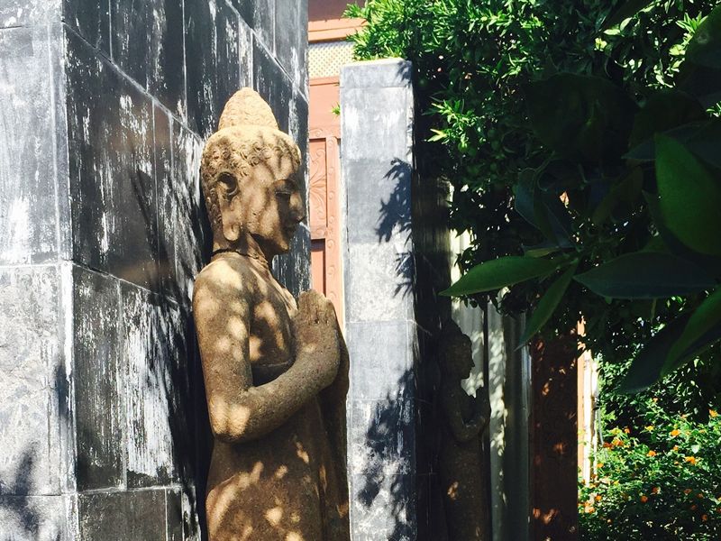 Commotion to Devotion - Toning the Vagus at The Movement Studio ...