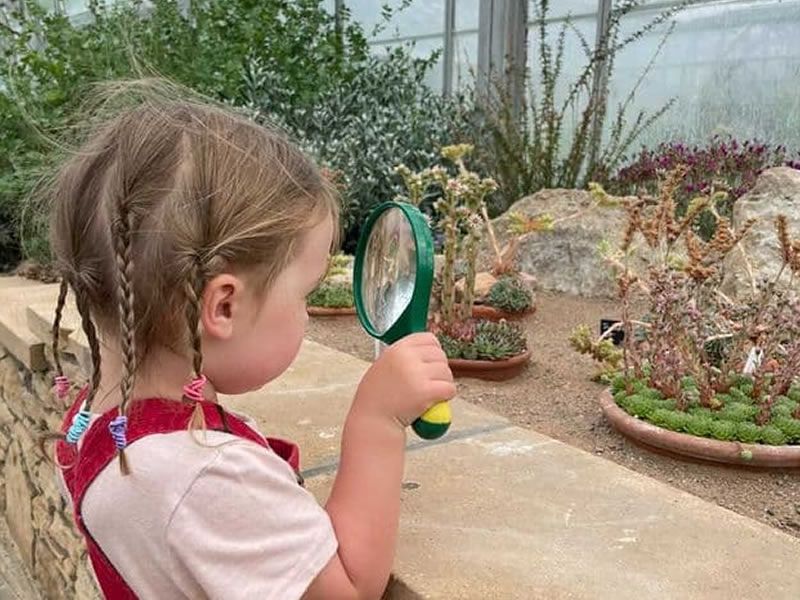 Planet Botanic Holiday Club at St Andrews Botanic Garden, St Andrews ...