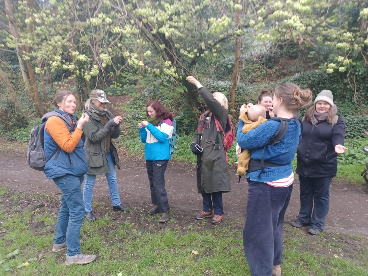 Foraging & Herbal Medicine Course: Wild Things Year 1 at Lauriston ...