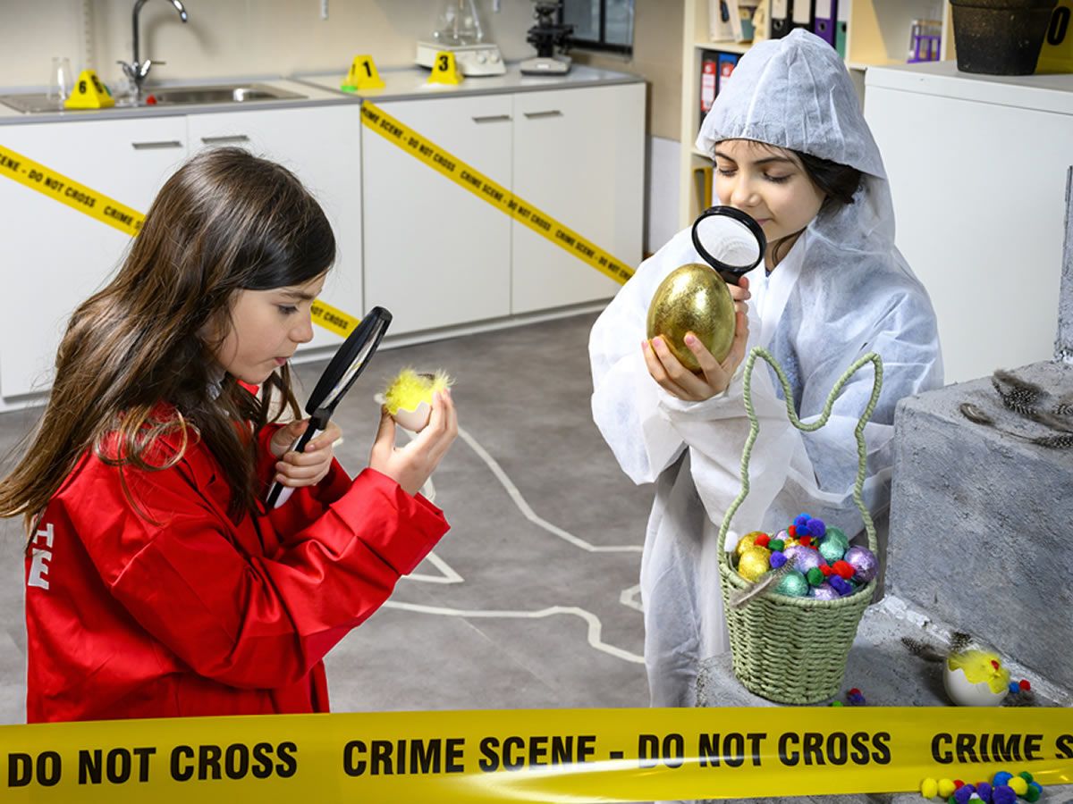 Edinburgh Science Festival has a new Family Hub at the National Museum ...