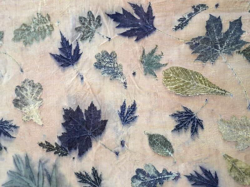 Eco-Printing with Wild Hues at Print Clan CIC, Glasgow East End | What ...