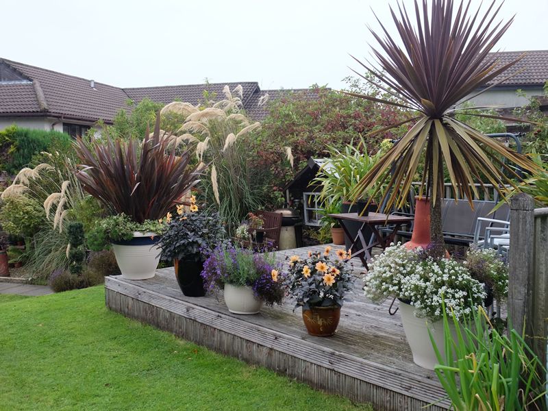You could be a winner in the annual Cardwell Gardenfest competition ...