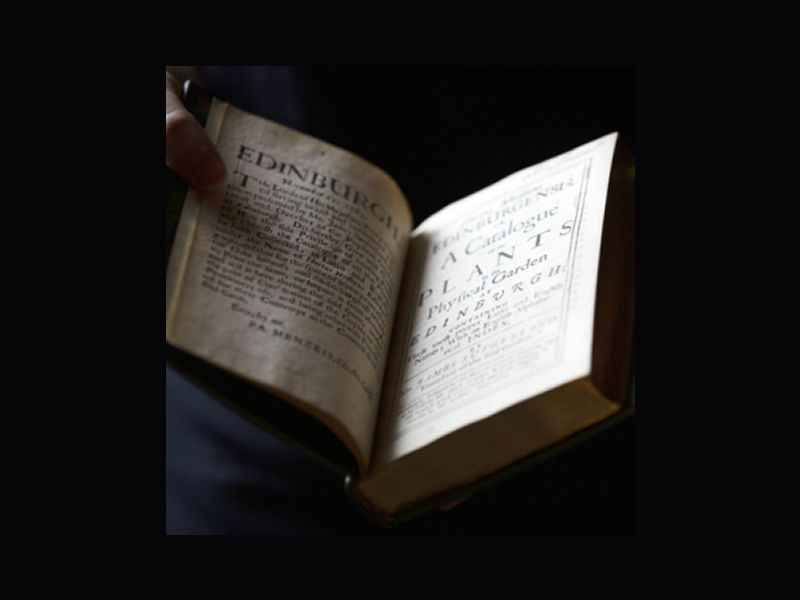 Up close: Hortus Medicus Edinburgensis at The Palace of Holyroodhouse ...