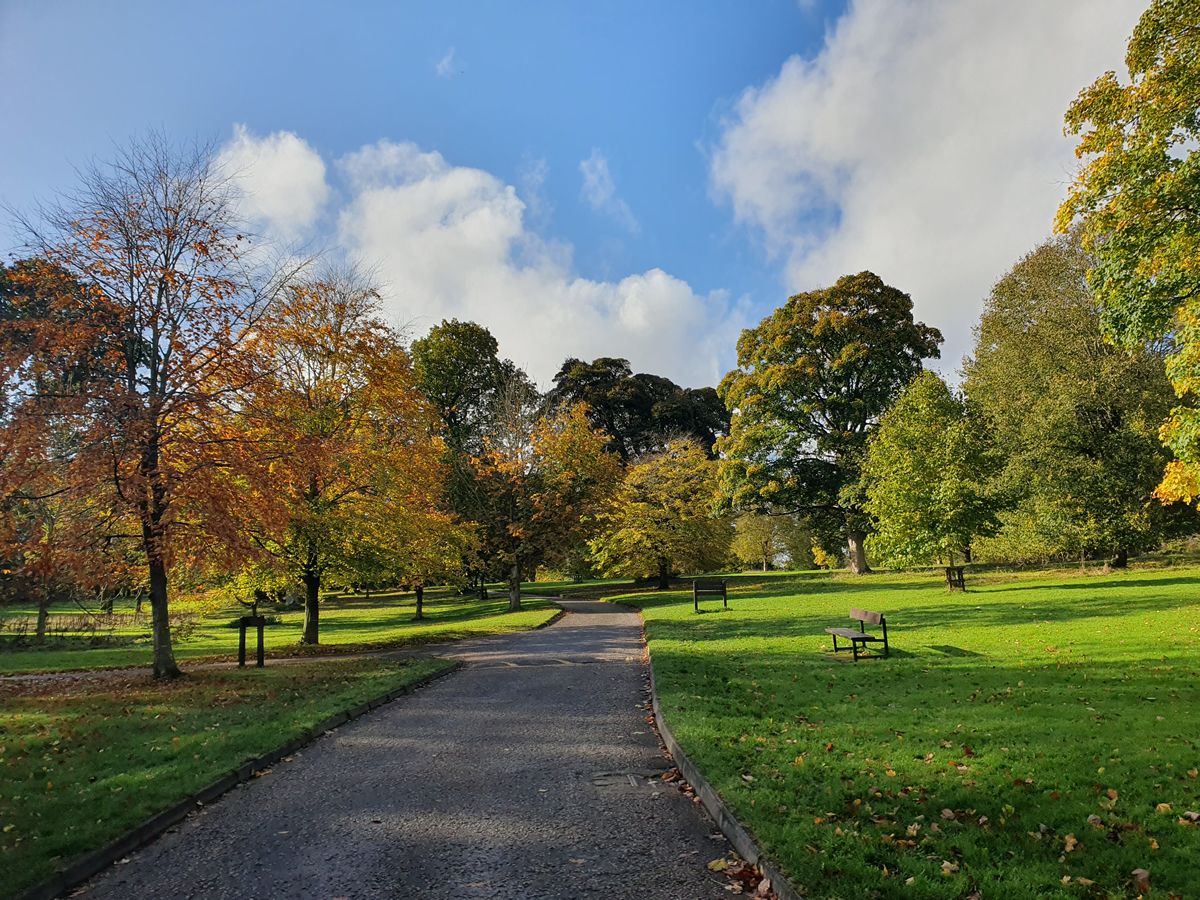 Spring Forest Bathing Walk in Vogrie Country Park at Vogrie Country ...