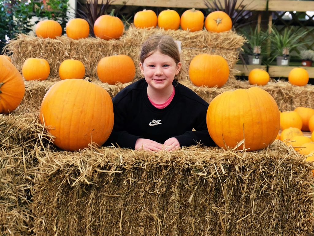 Join the Halloween Treasure Hunt then pick your own pumpkin! | News ...