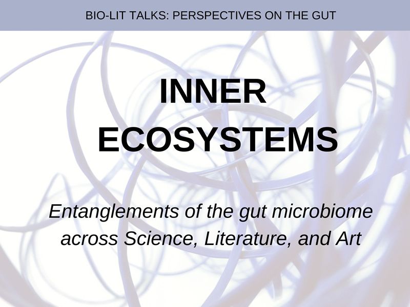 Inner Ecosystems: Entanglements of the gut microbiome across Science ...