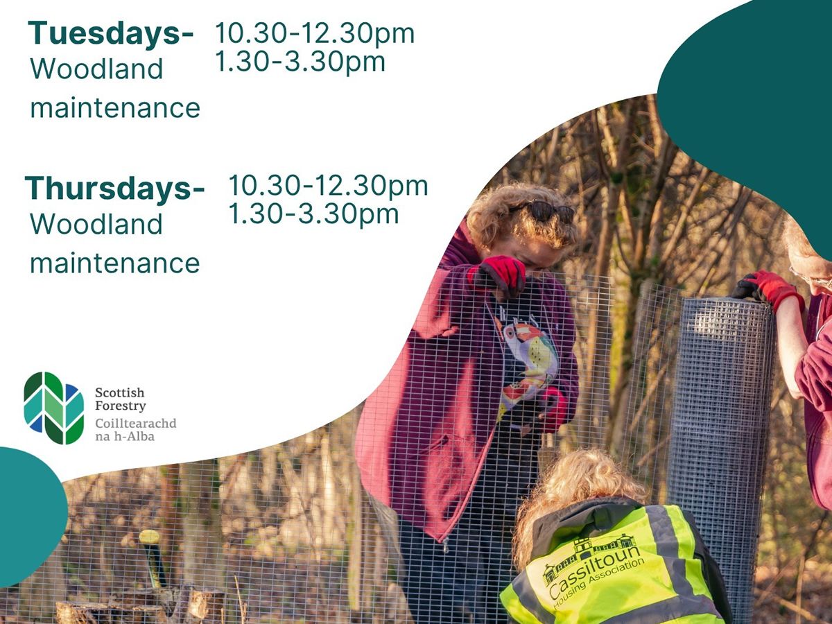 Castlemilk Park Volunteers, Glasgow South Side | What's On Glasgow