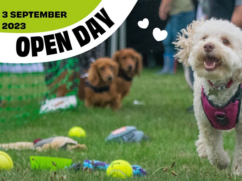 Edinburgh Dog and Cat Home Open Day at Edinburgh Dog and Cat Home, Edinburgh East | What's On ...