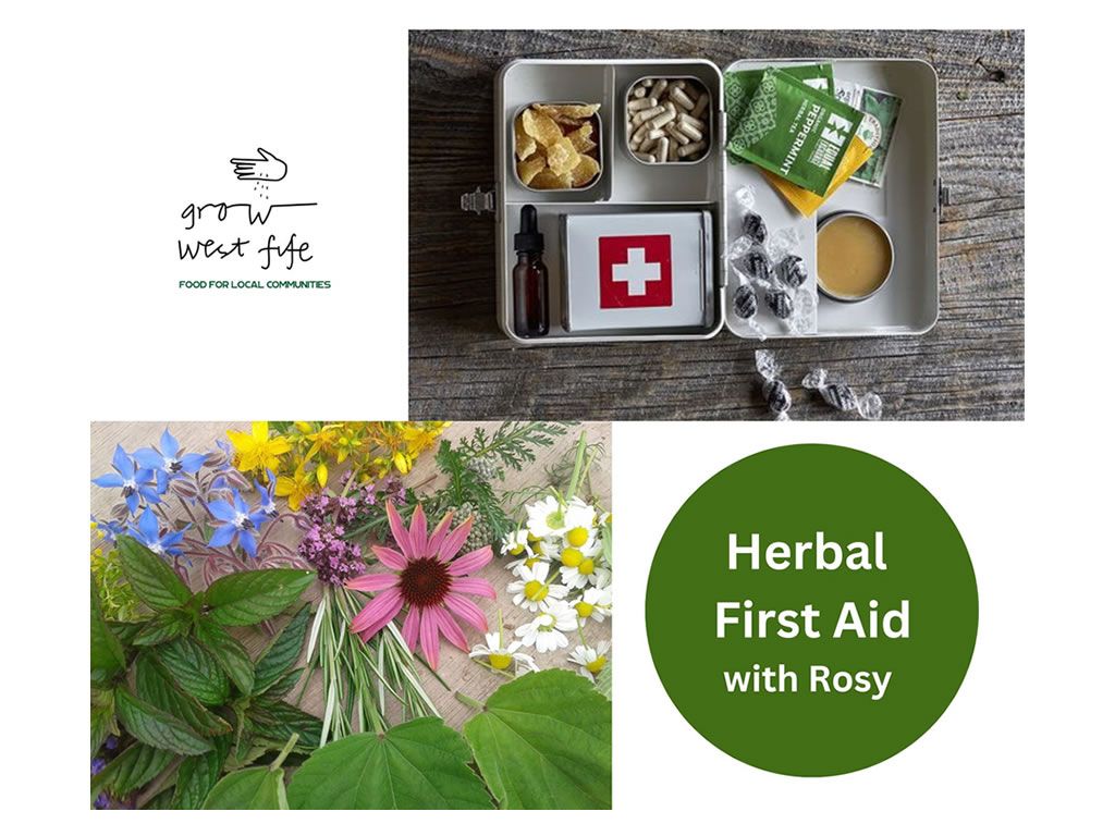 Herbal First Aid - Remedies from your garden, Culross | What's On Fife