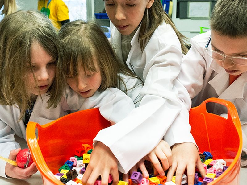 Edinburgh Science Festival: Amazing Immunology: Be a Scientist, Build a ... Edinburgh Science Festival: Amazing Immunology: Be a Scientist, Build a ...