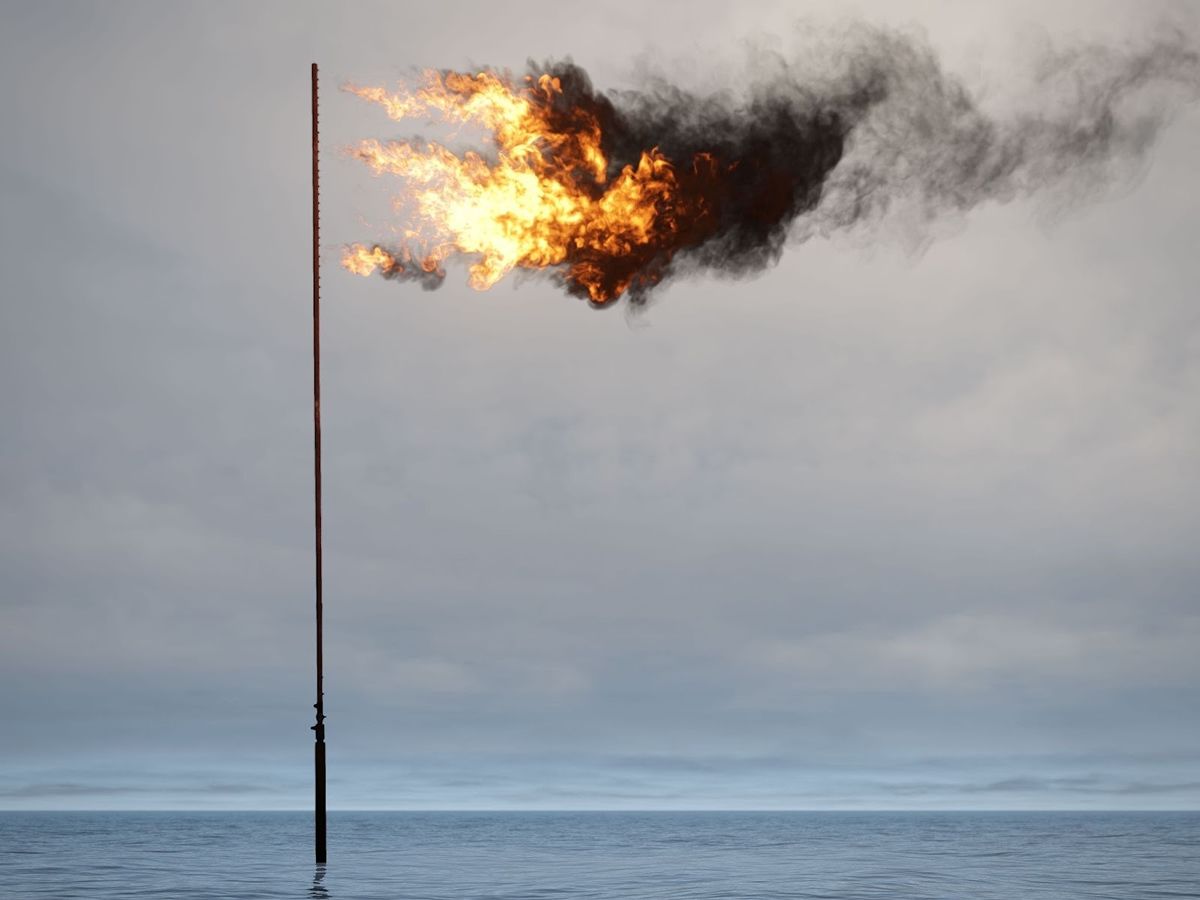 Jupiter Artland announces a politically charged and ambitious Spring ...