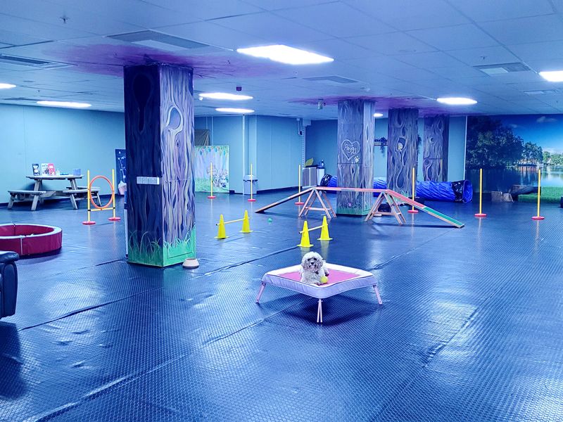 Keep all members of the family happy this Easter at The Dug and Bone ...