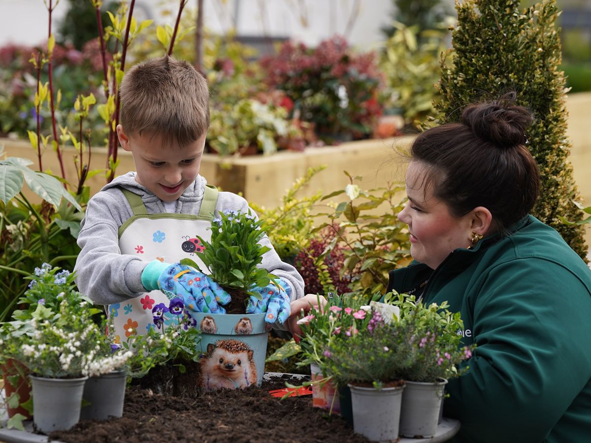 Dobbies hosts free Little Seedlings Club this February | News | What's ...