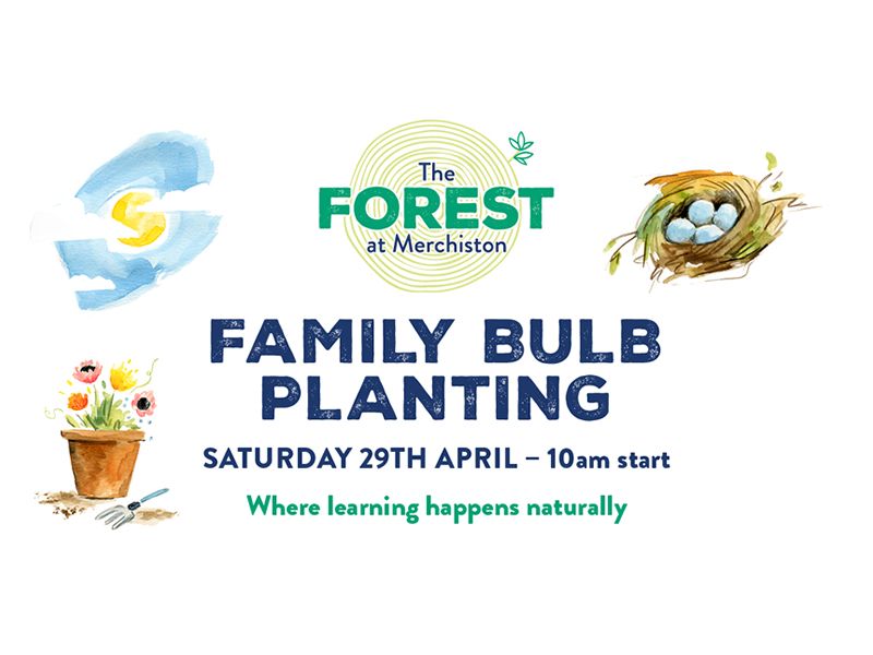 The Forest - Family Bulb Planting Event, Edinburgh South | What's On ...