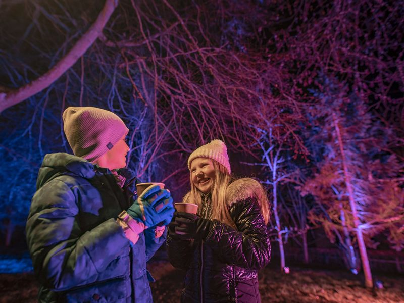 Introducing the Scottish Borders first Winter light trail, Monteviot ...