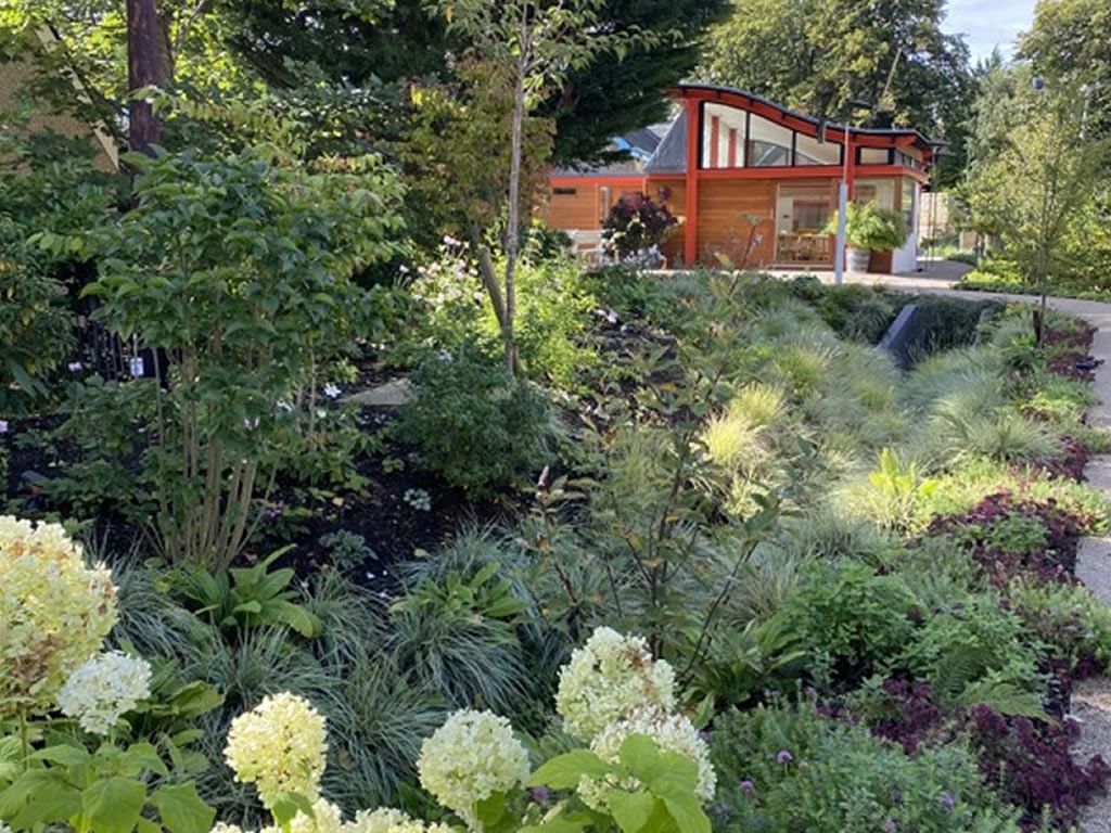 Scotland’s Gardens Scheme Open Garden: Maggie’s Edinburgh, Edinburgh ...