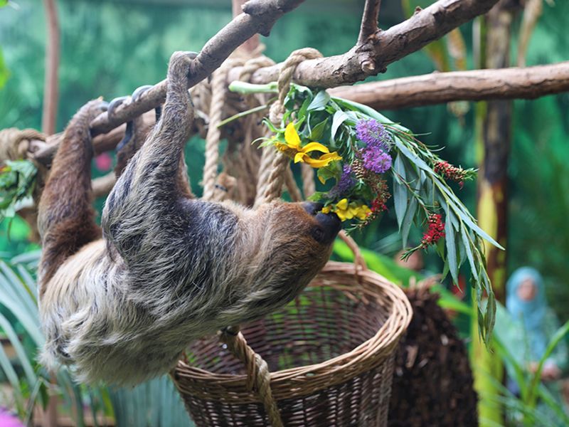Blooming great Spring events at Edinburgh Zoo | News | What's On Edinburgh