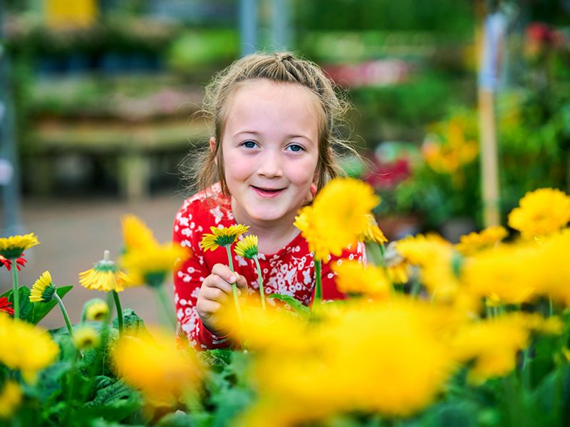 Dobbies Garden Centre hosts two free sustainable workshops across the ...