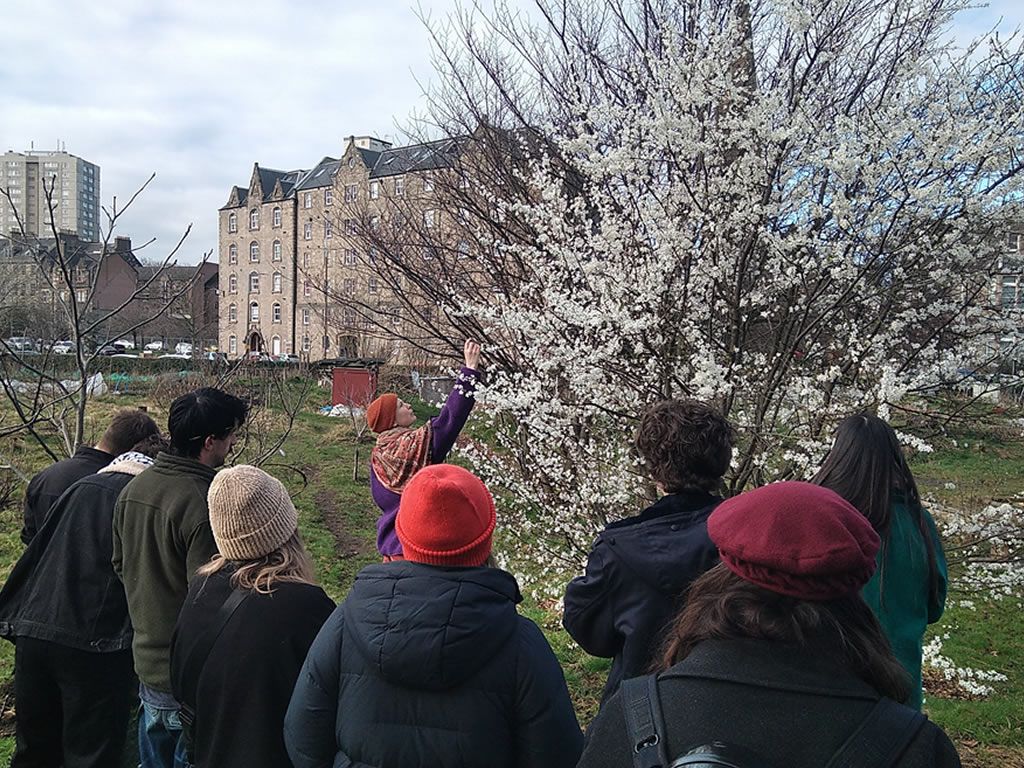 Naming trees - Spring edition at Leith Community Croft, Leith | What's ...