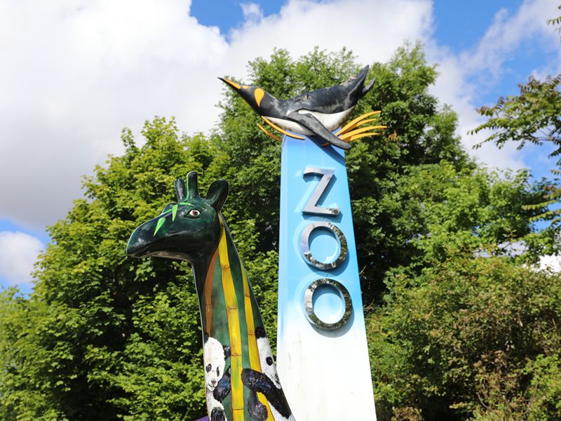 Win your own eight foot tall giraffe, feed a giant panda and support ...