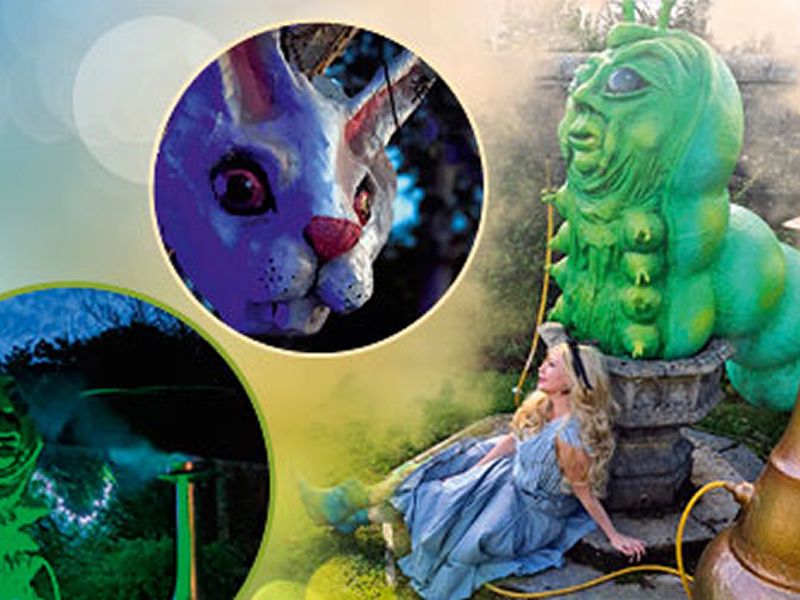 Alive in Wonderland - Outdoor Exhibition at East Kilbride Arts Centre ...