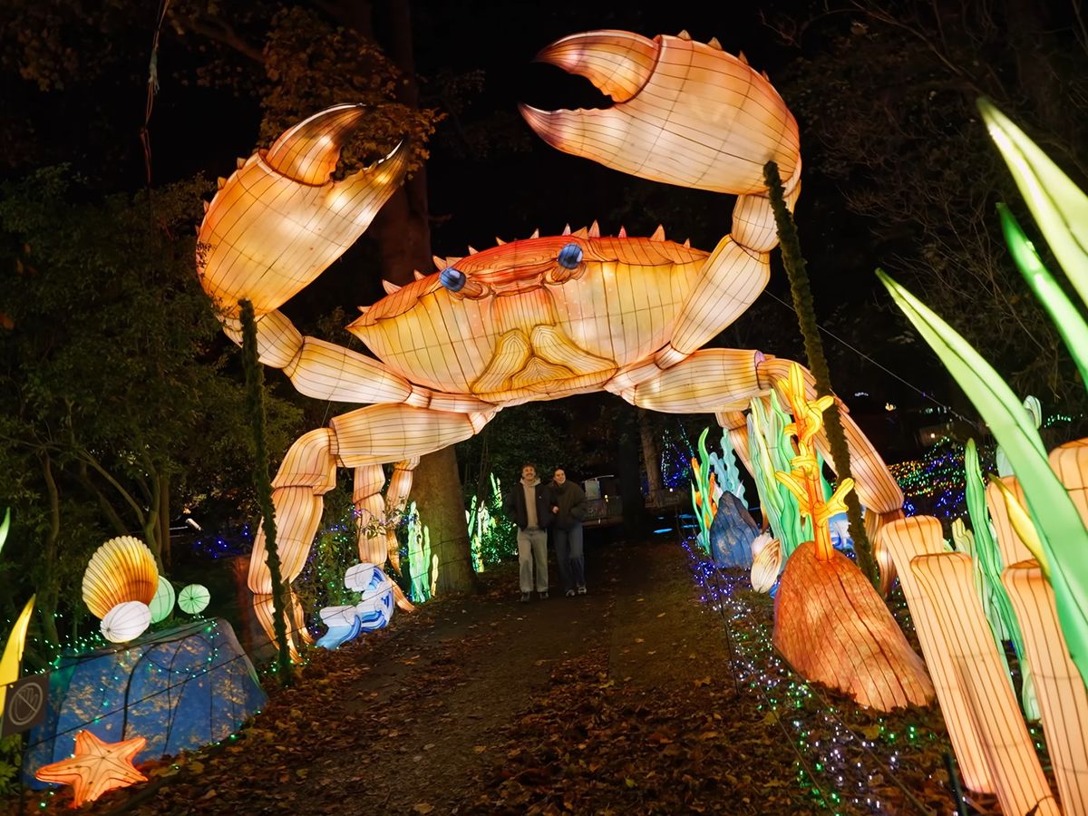 Five unique Valentine experiences to enjoy across Scotland | News ...