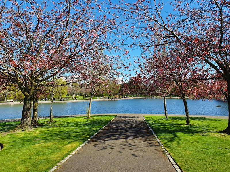 Victoria Park Walk at Victoria Park, Glasgow West End | What's On Glasgow