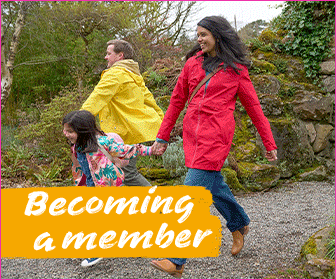 Lost Shore Surf Resort, Ratho | What's On Edinburgh